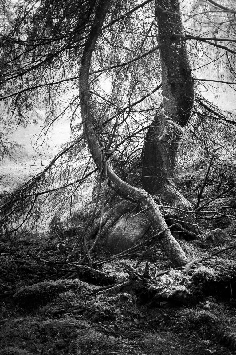 Top 10 Most Haunted Places in Lincolnshire – Lincolnshire Pride